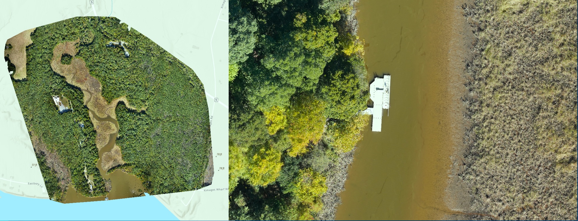 Wetlands are the superheroes of storm damage prevention—here’s how ...