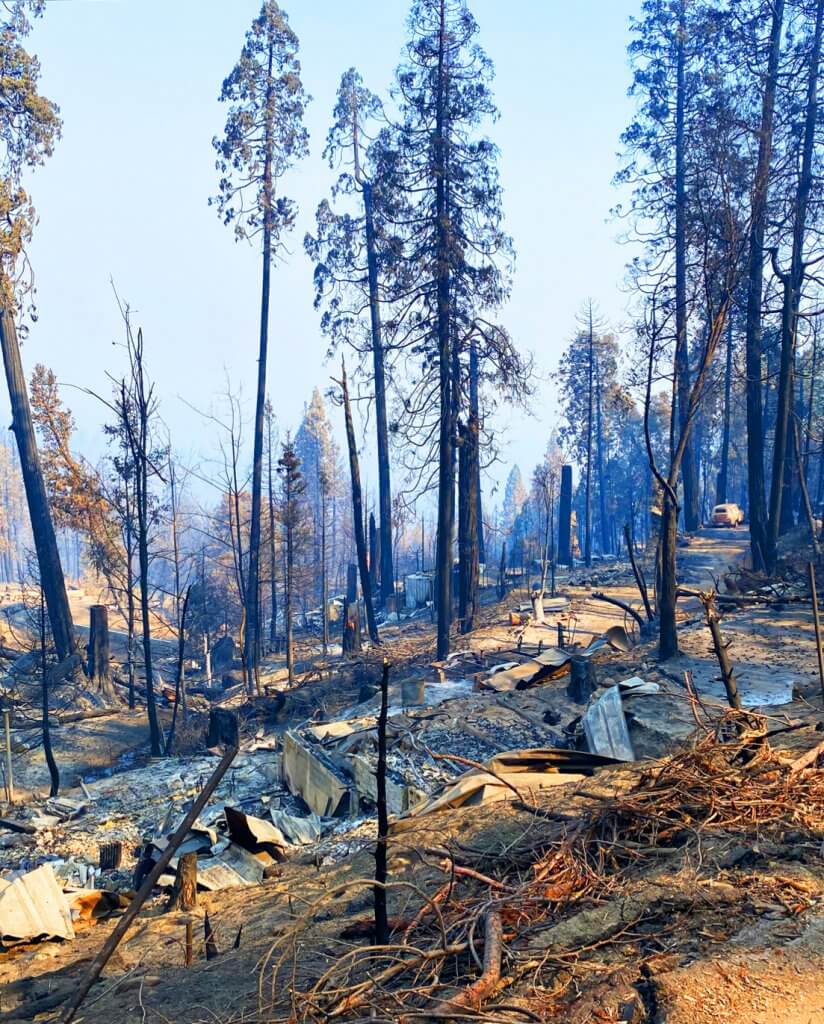 Overcoming redwoods and mixed terrain, WingtraOne offers a new level of ...