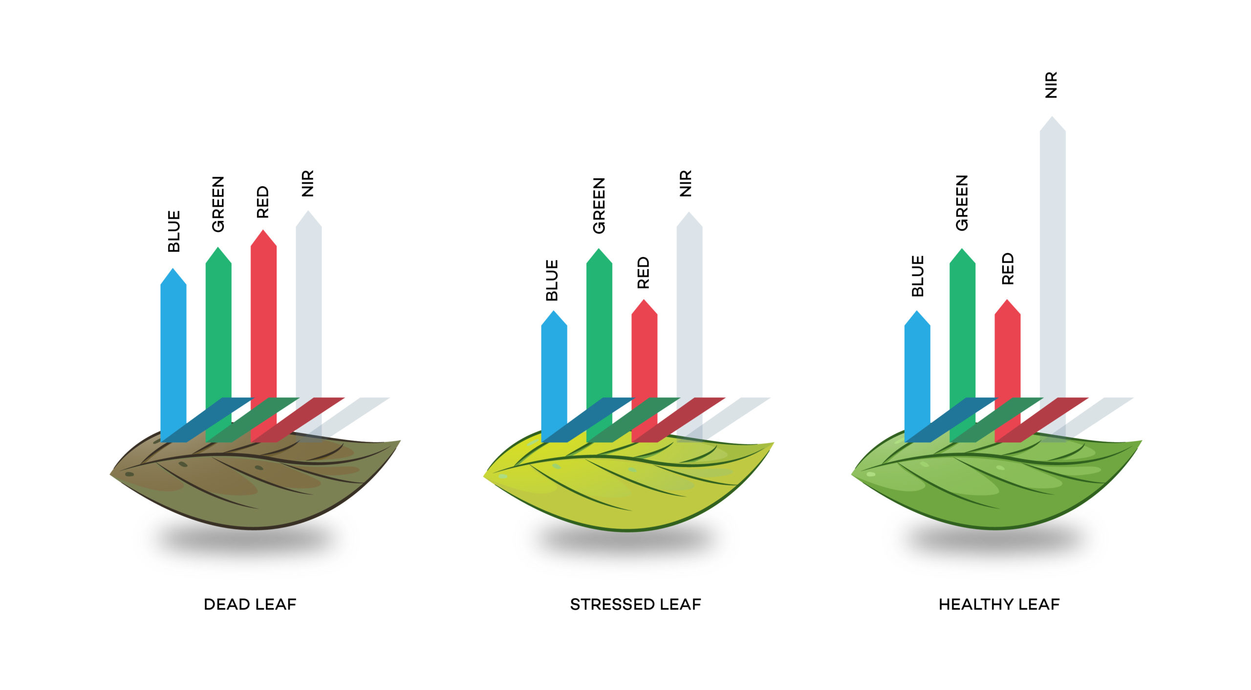 Maximize Precision with Multispectral Drones: Benefits, Use Cases ...