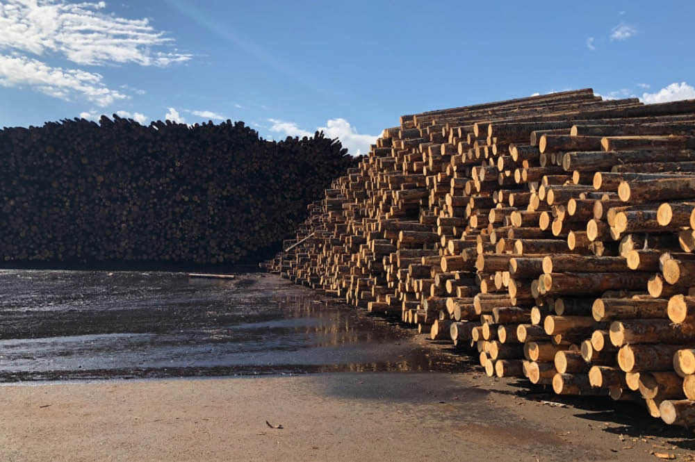 How Idaho Forest Group cut stockpile measurement time by 80% [ROI study ...